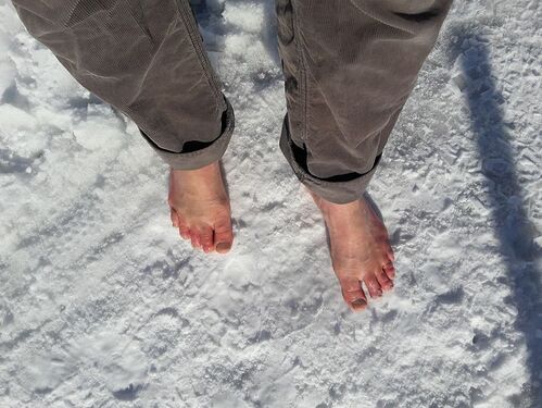 Tipps für den Winter - Service - barfuss-life.style